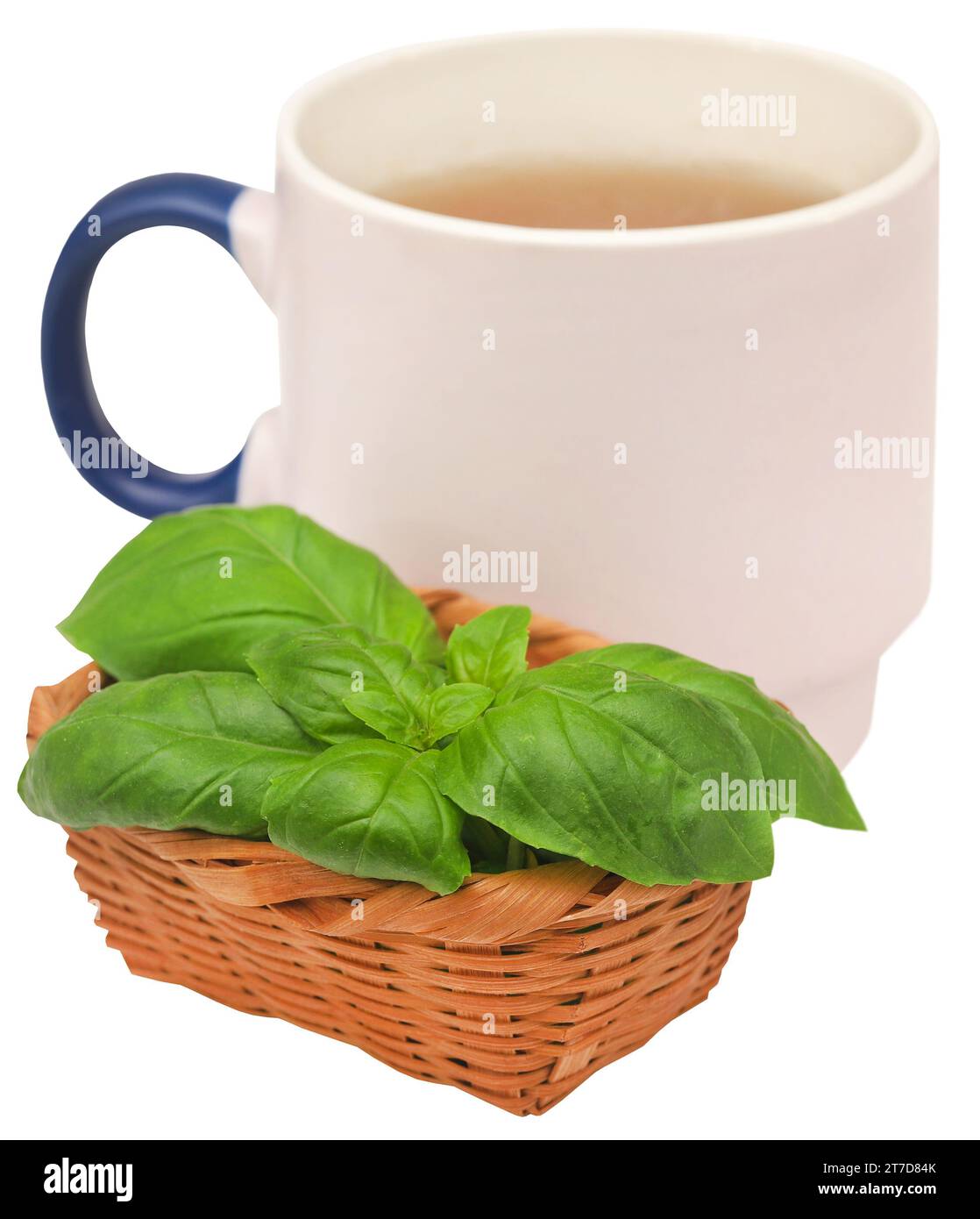 Fresh basil leaves with herbal tea in a cup Stock Photo - Alamy