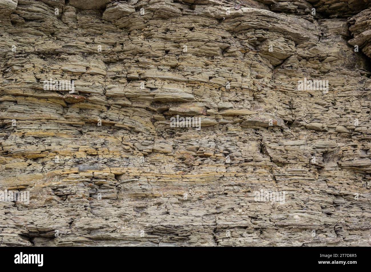 Most of the rocks exposed at the surface of Earth are sedimentary rock ... Most of the rocks exposed at the surface of Earth are sedimentary rock ...