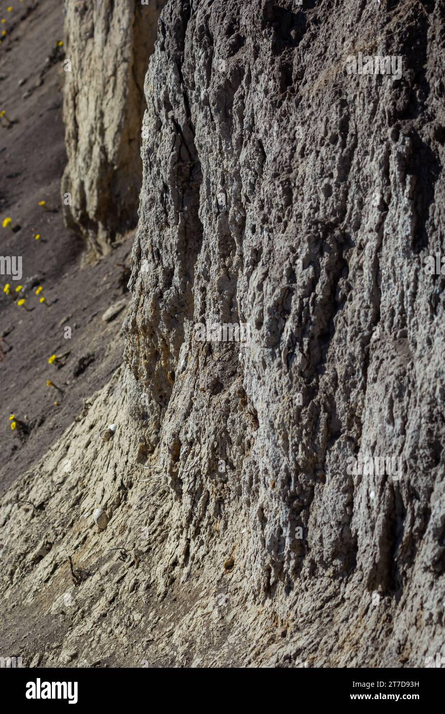 Natural background. Patterns on the surface of the earth. Earth texture ...