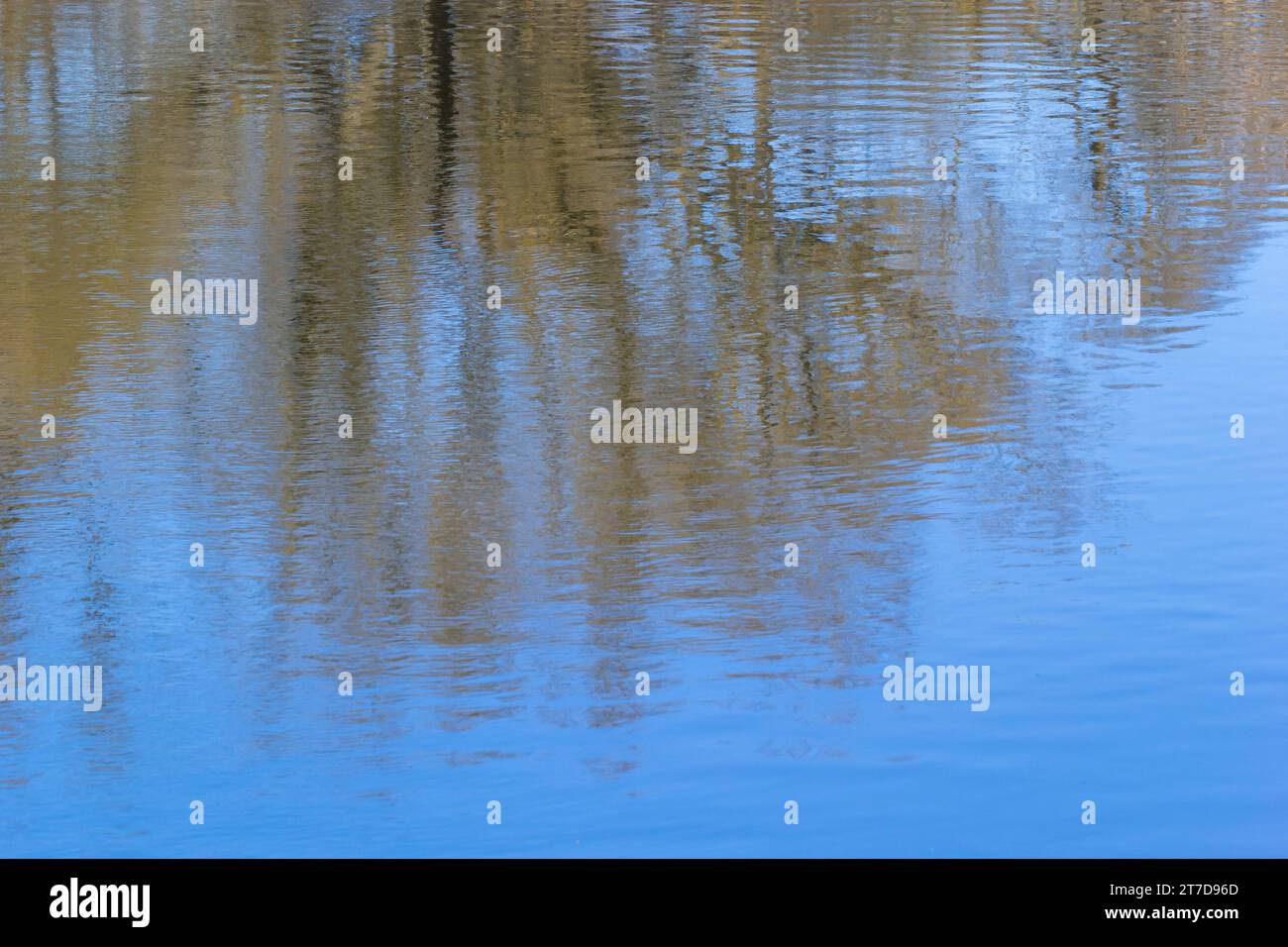 reflection on water in the park Stock Photo - Alamy