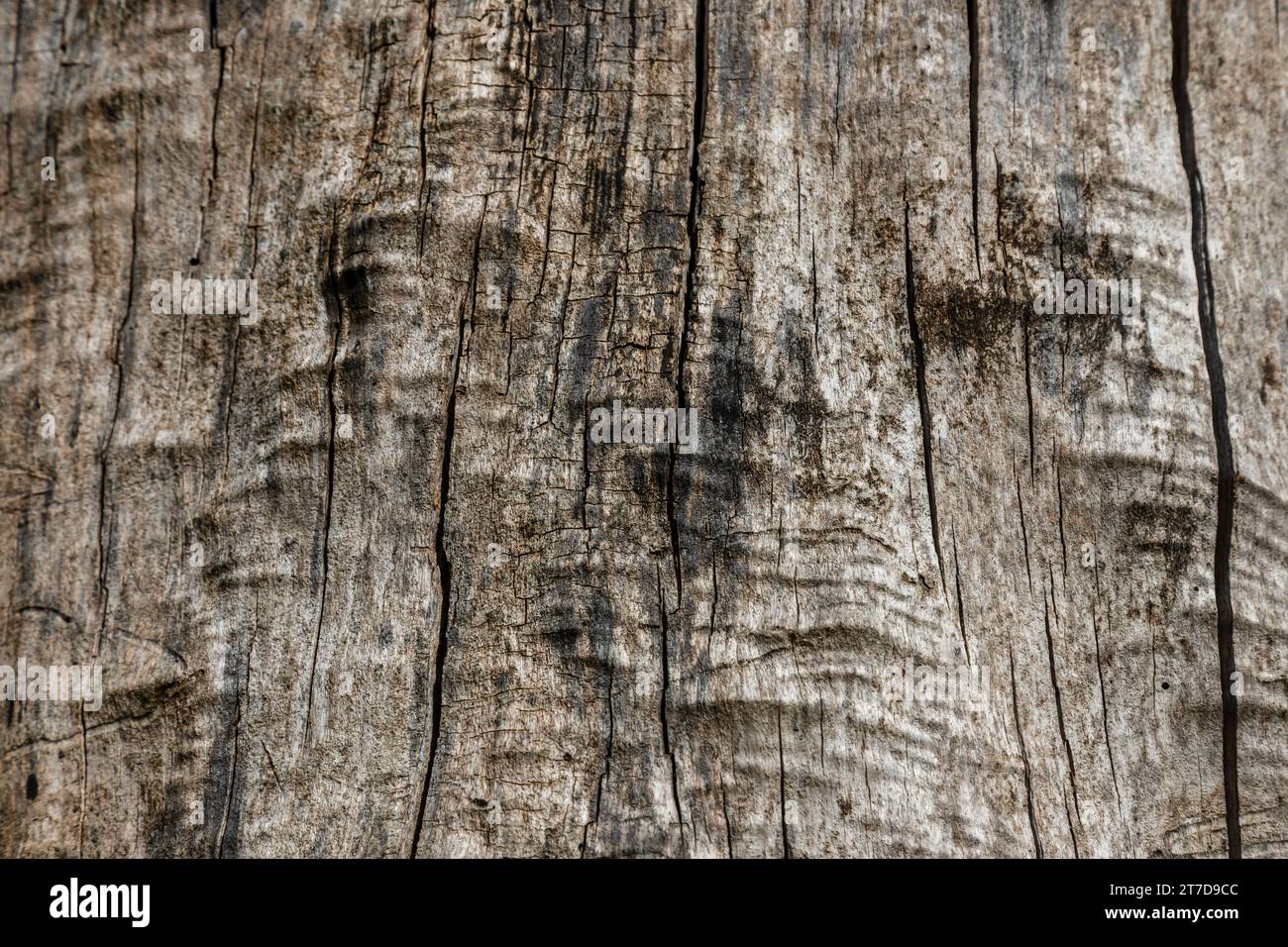Wood Texture With Natural Pattern Stock Photo - Alamy