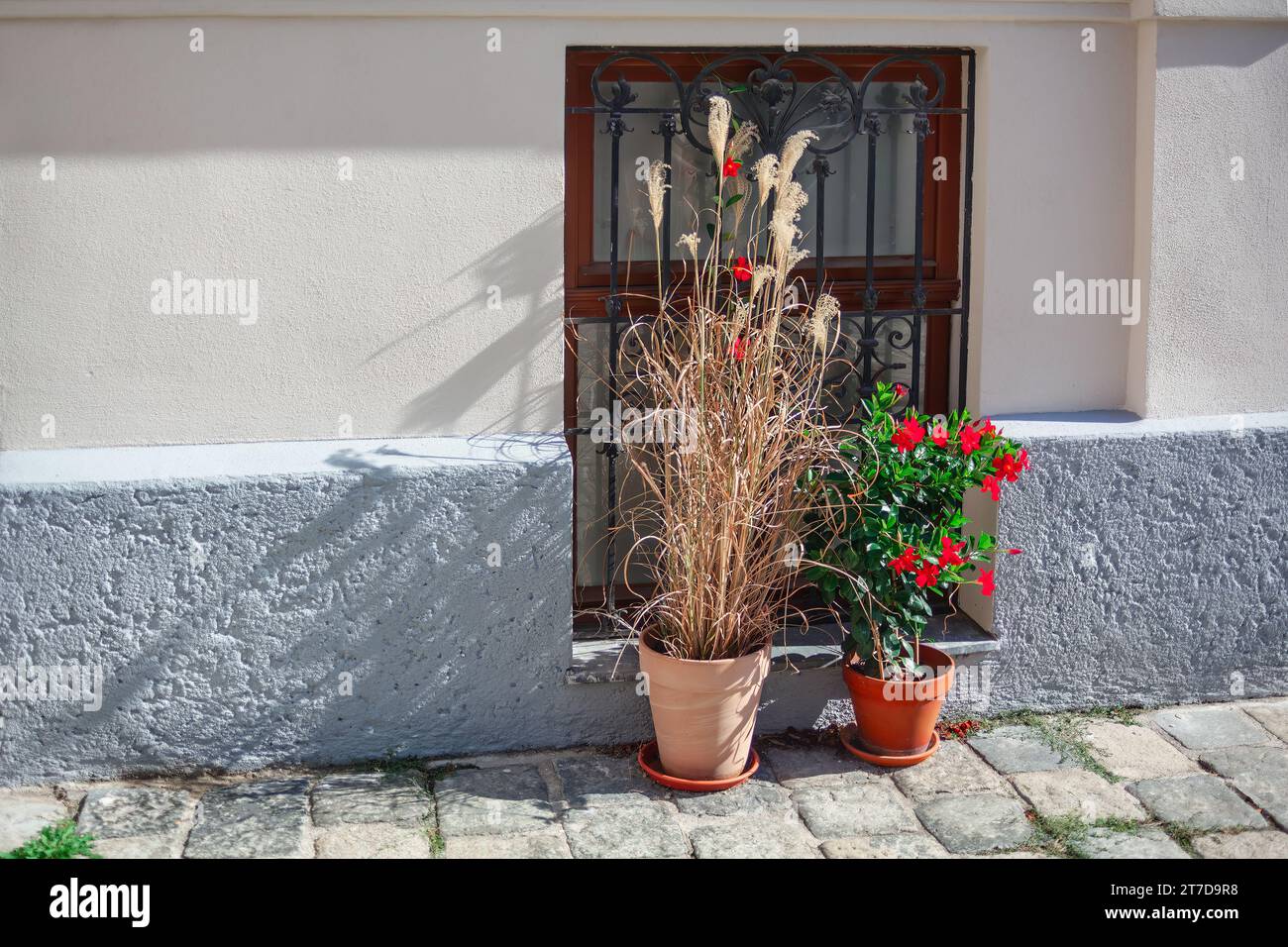 Potted flowers graces the exterior of a building, transforming the ...