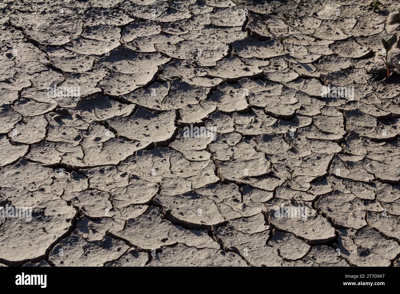 Wall texture soil dry crack pattern of drought lack of water of nature ...