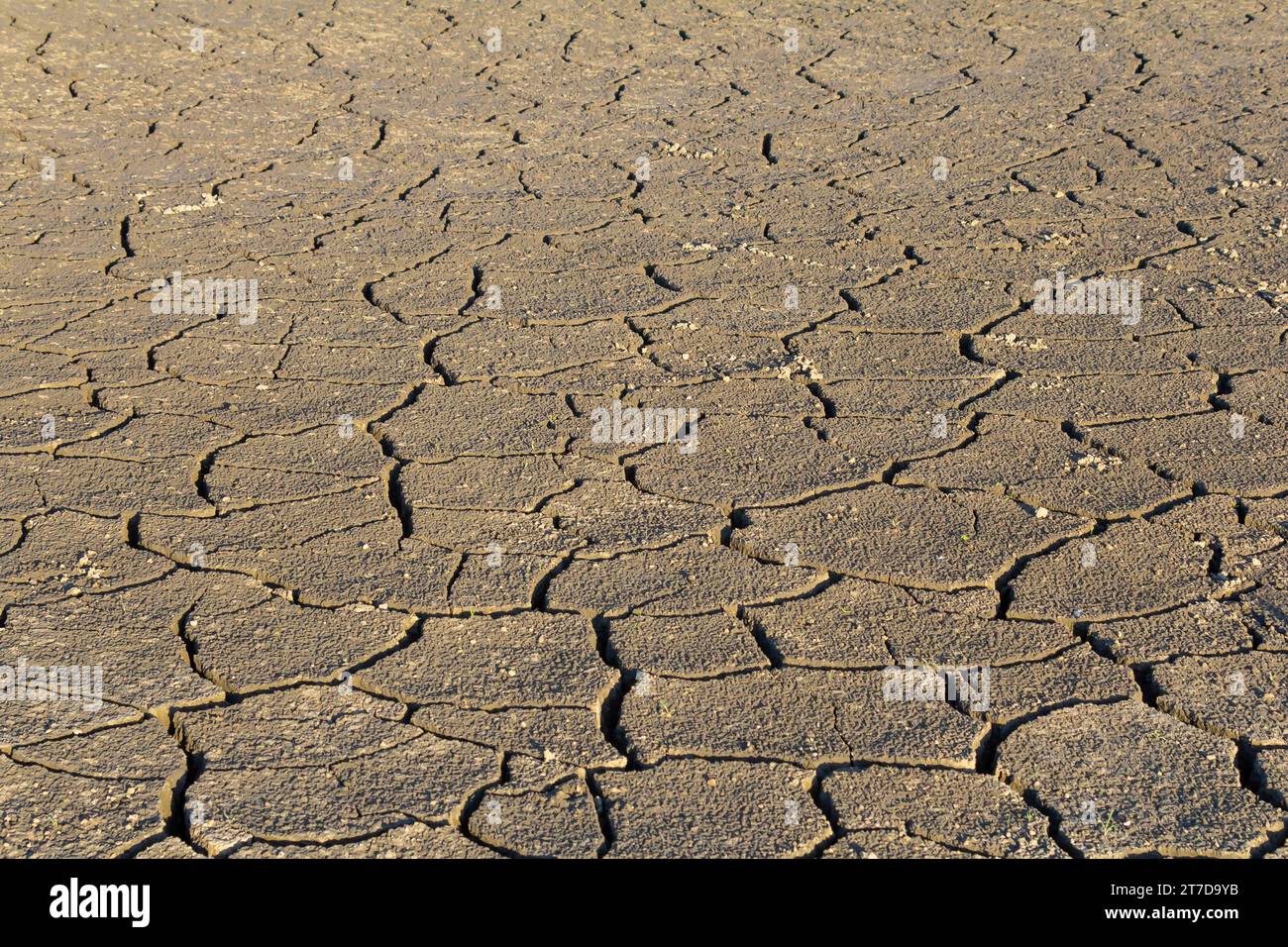 Wall texture soil dry crack pattern of drought lack of water of nature ...