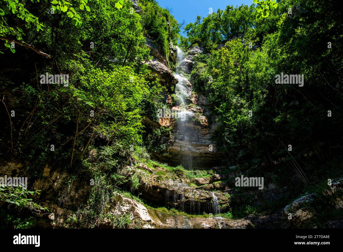 Alpine stream waterfall between woods and pastures in summer in Rotzo ...