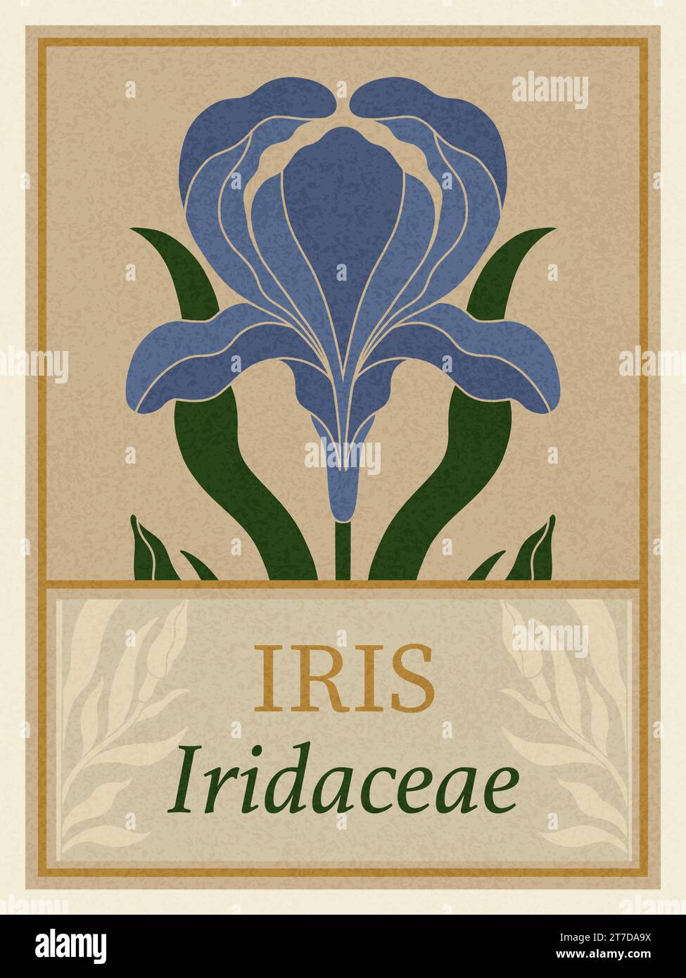 Floral iris design in art nouveau 1920-1930. Hand drawn iris style with ...