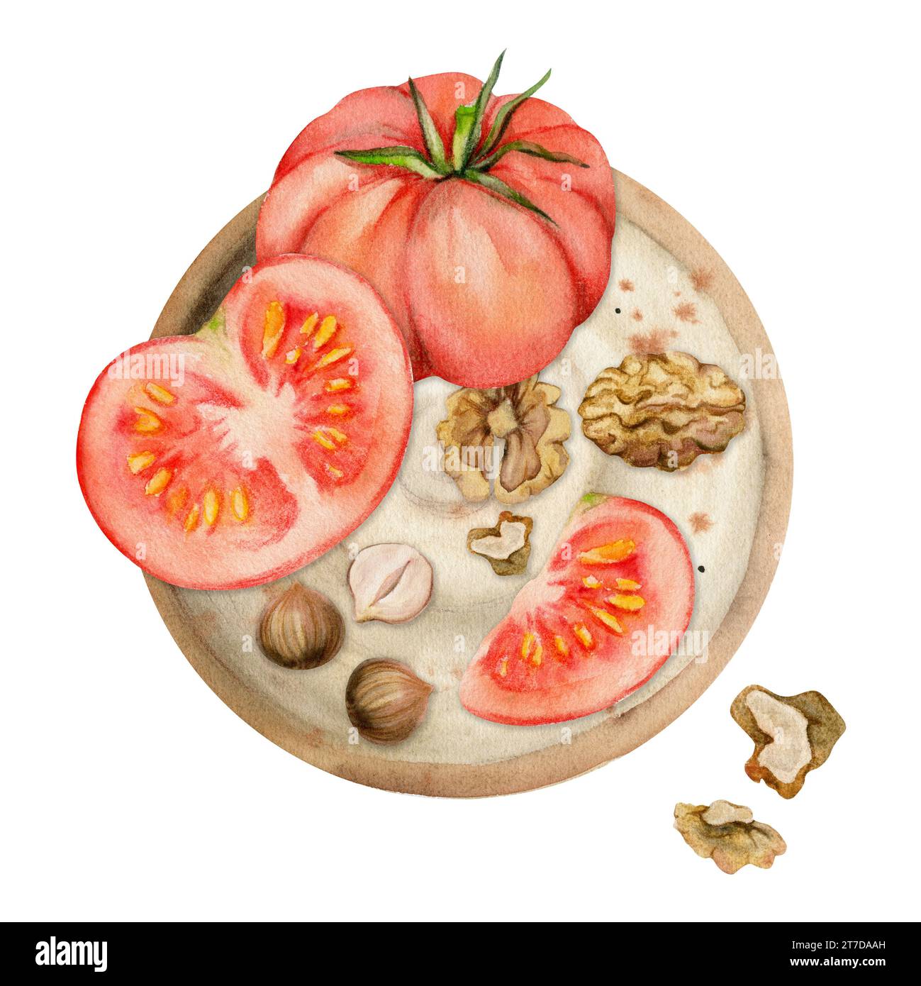 Hand drawn watercolor tomato vegetable and nuts, diet and healthy ...