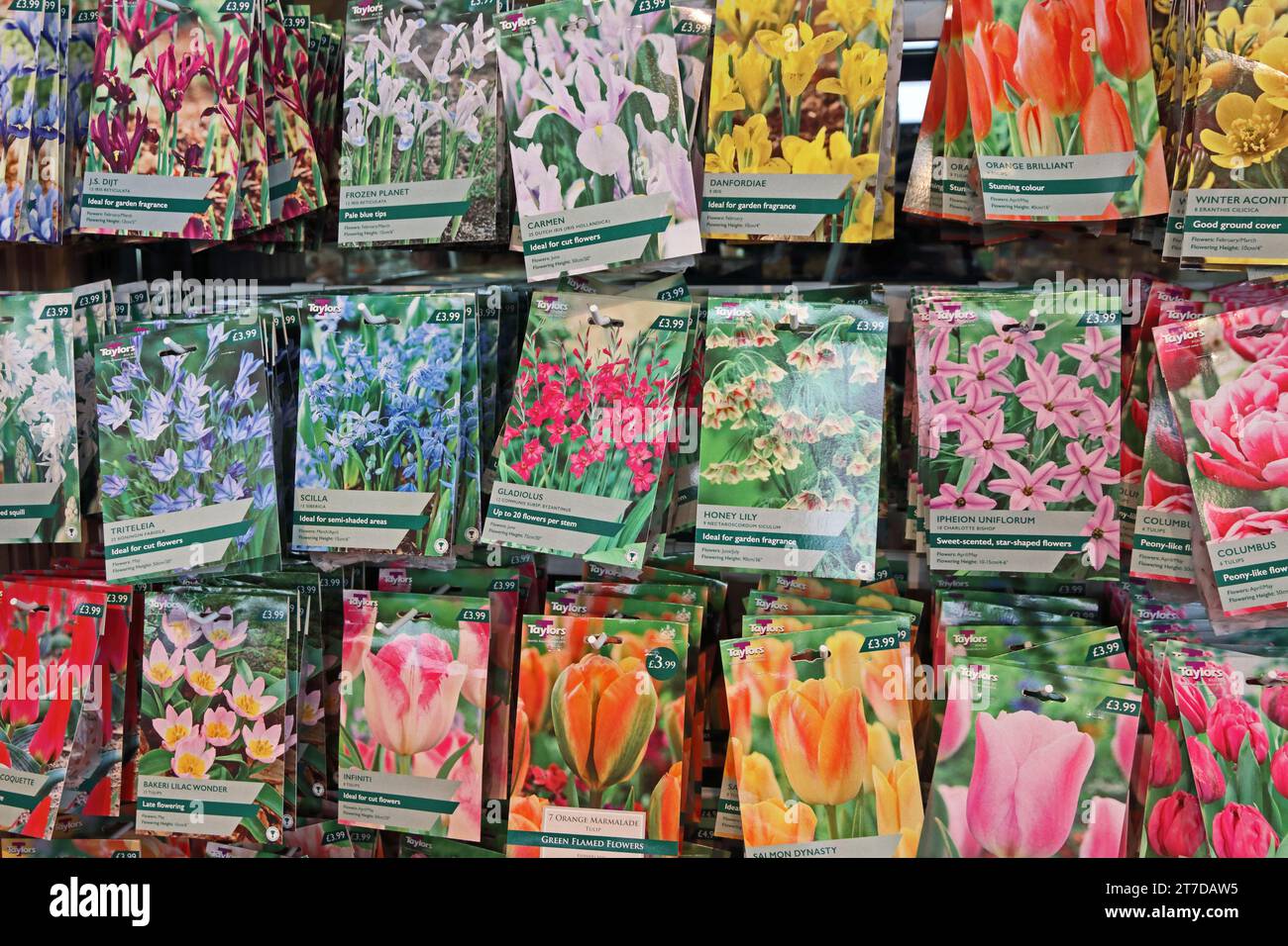 Packets of tulips hi-res stock photography and images - Alamy