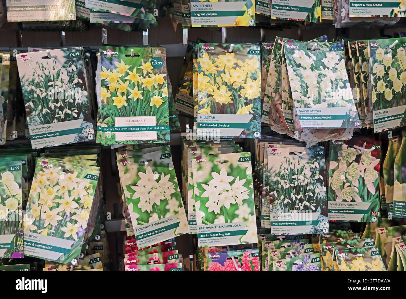 Packets of bulbs on display in garden centre Stock Photo - Alamy