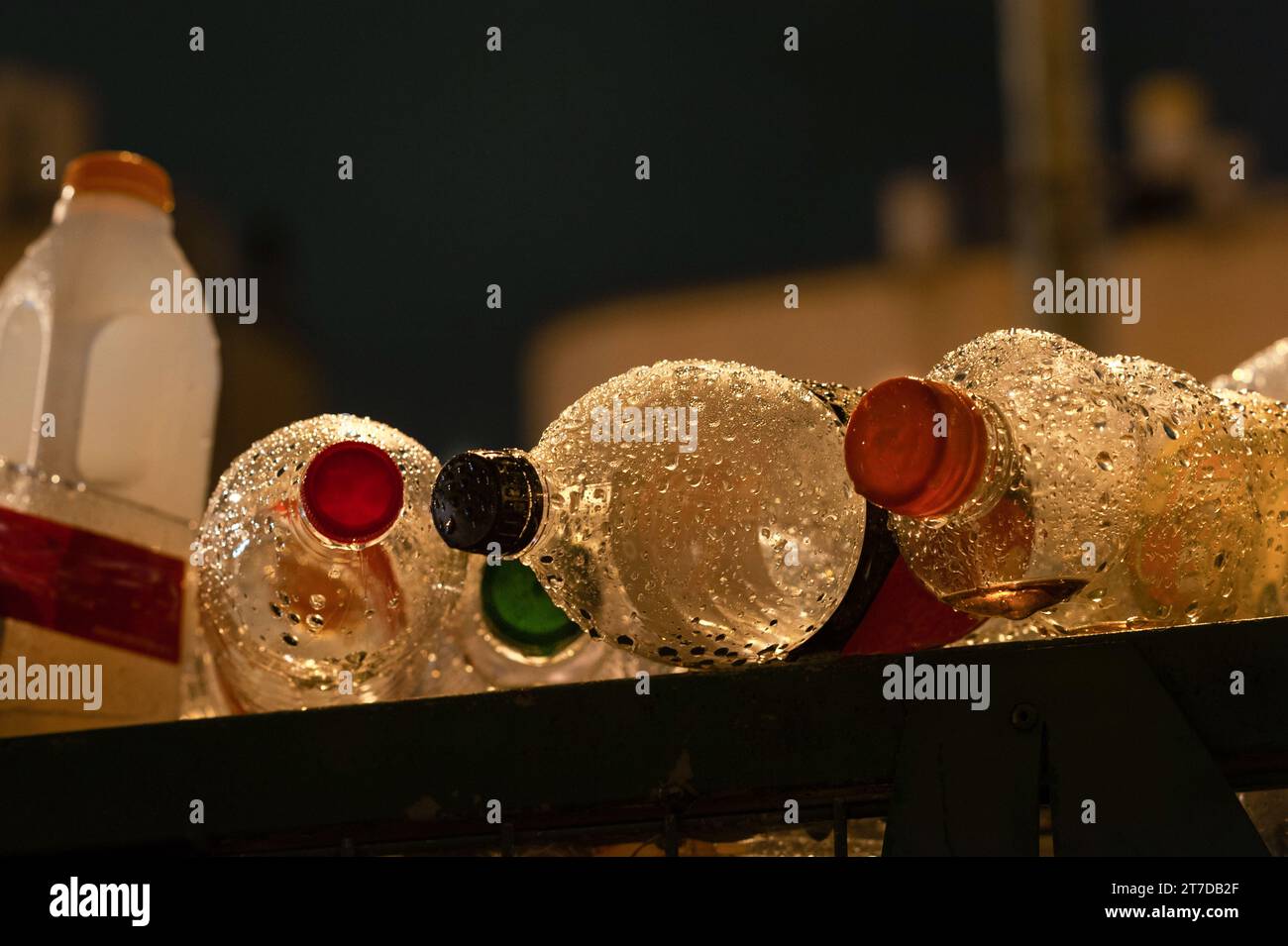 Multiple plastic beverage containers lie flat on top of a recycling bin ...