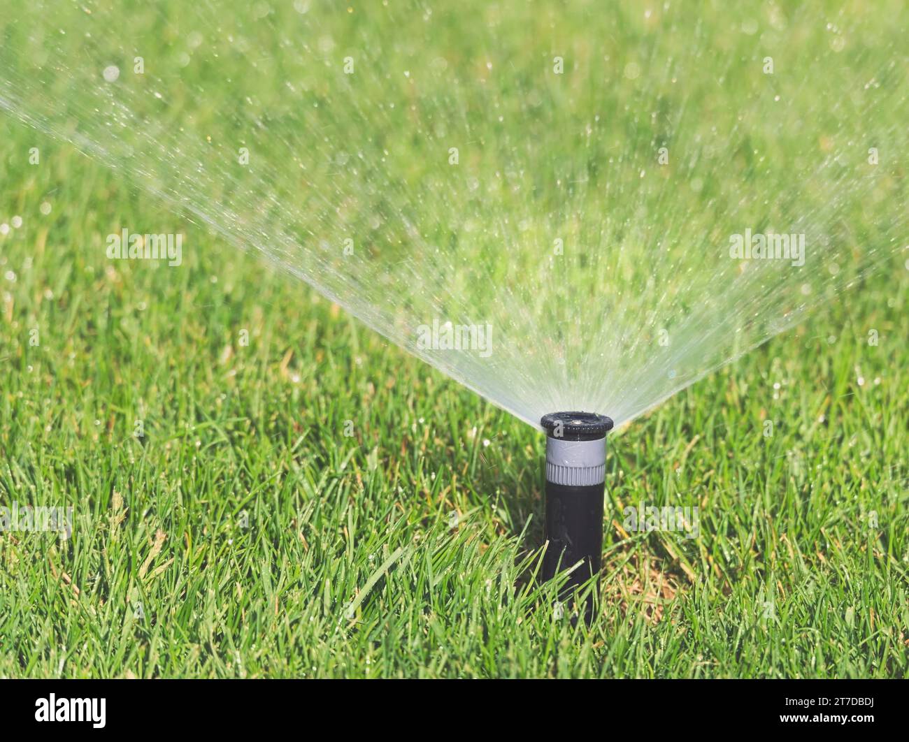 Automatic irrigation system hi-res stock photography and images - Alamy
