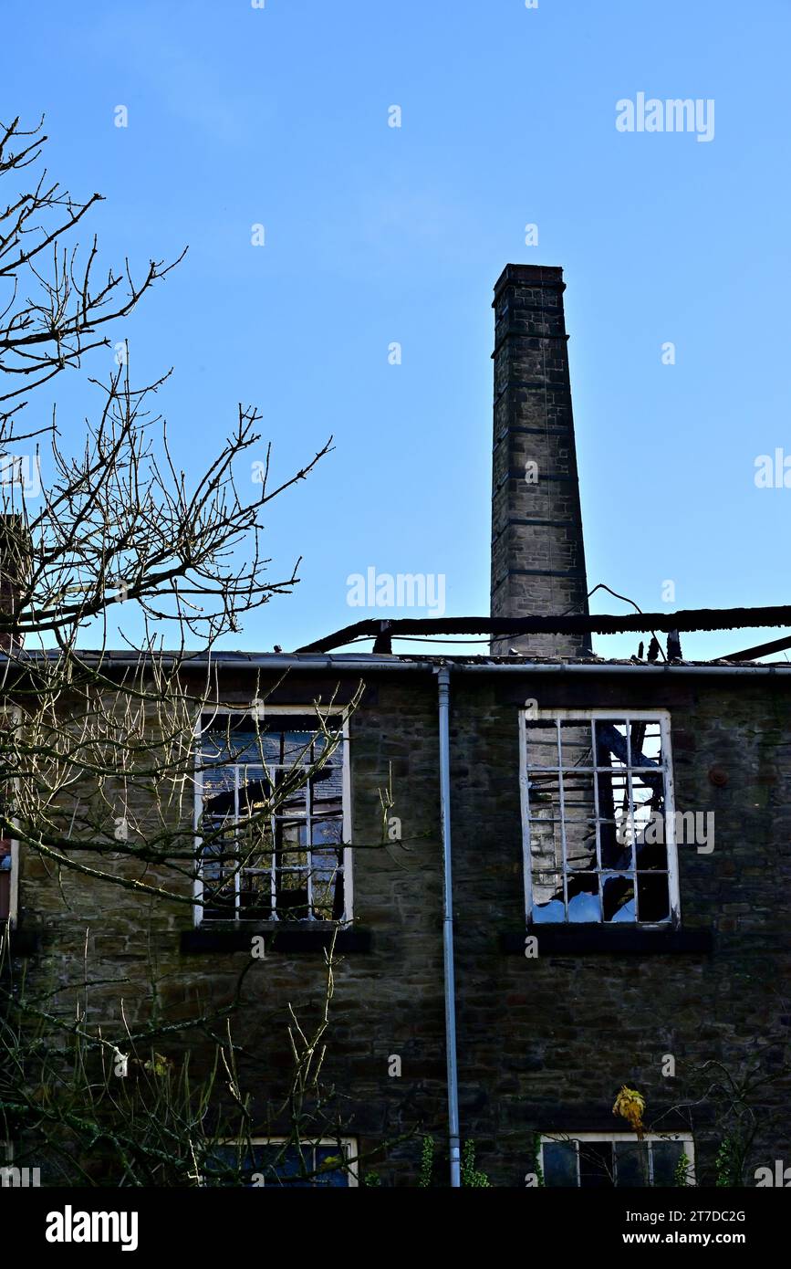 Terry mill hi-res stock photography and images - Alamy