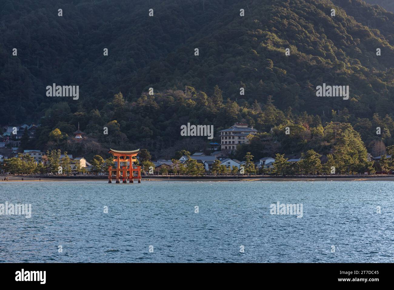 Floating orange red giant Grand O-Torii gate stands in Miyajima island ...