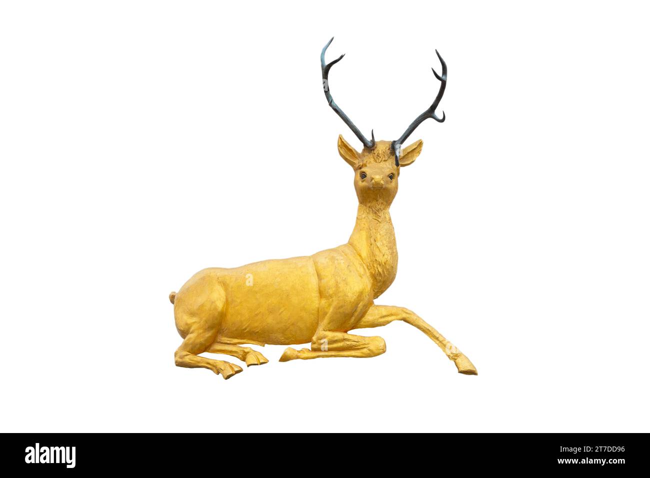 Home experiment Cut Out Stock Images & Pictures - Alamy