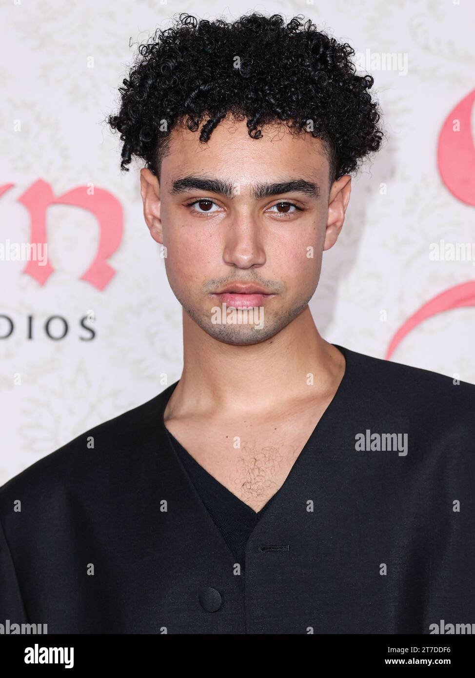 LOS ANGELES, CALIFORNIA, USA - NOVEMBER 14: British actor Archie ...