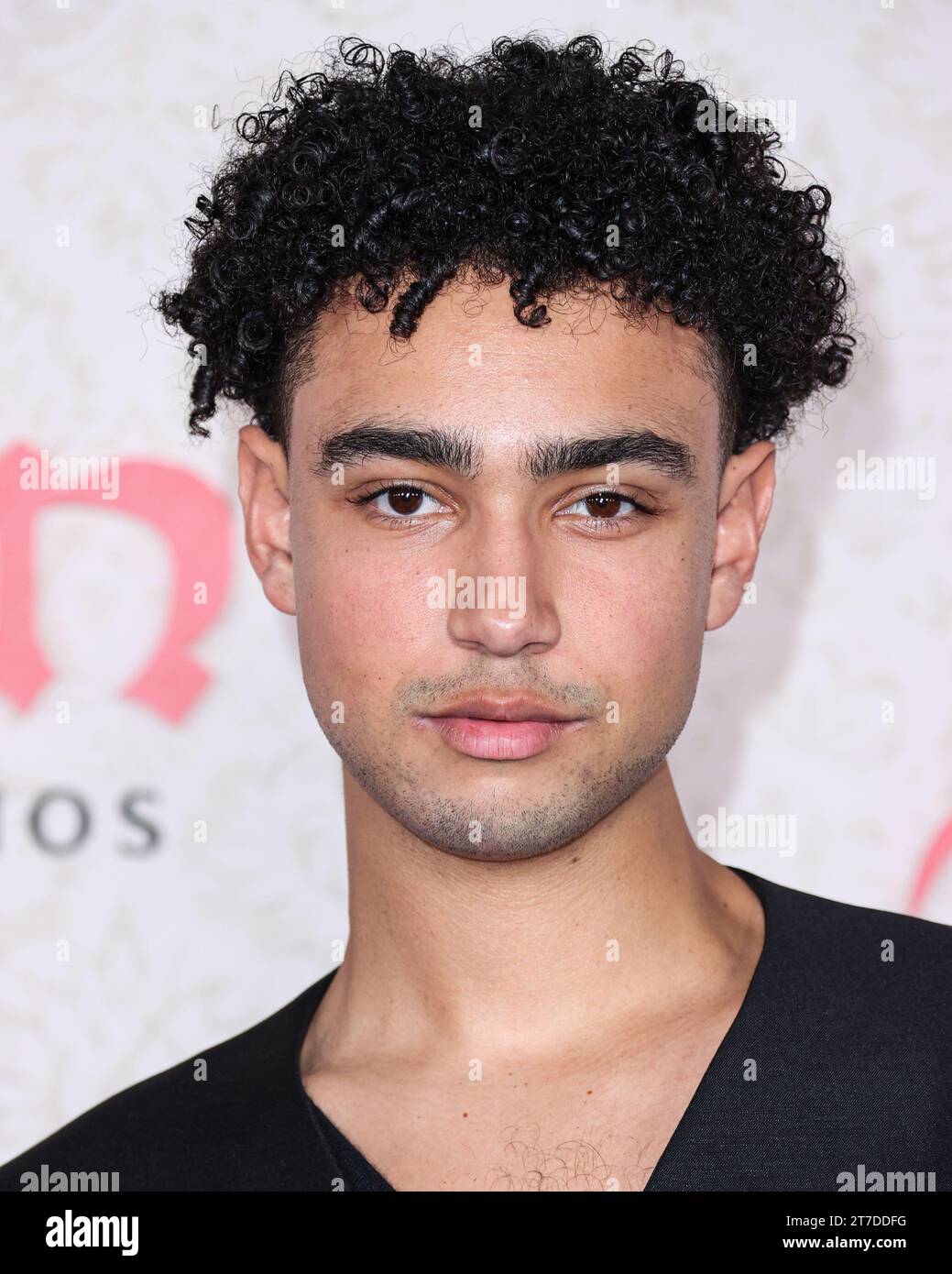 LOS ANGELES, CALIFORNIA, USA - NOVEMBER 14: British actor Archie ...