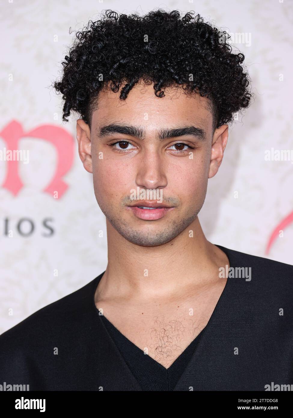 LOS ANGELES, CALIFORNIA, USA - NOVEMBER 14: British actor Archie ...