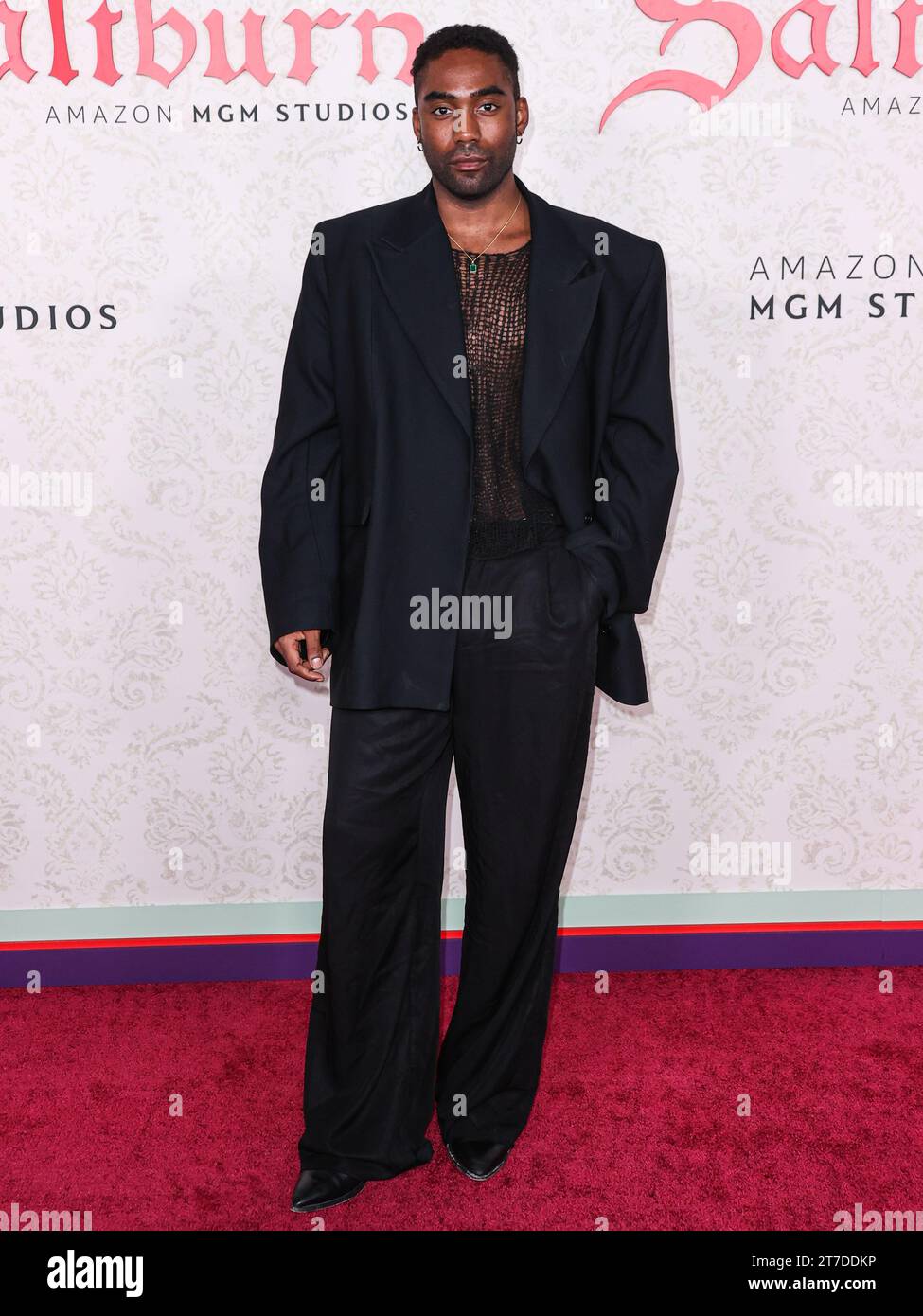 LOS ANGELES, CALIFORNIA, USA - NOVEMBER 14: American actor David Alan ...