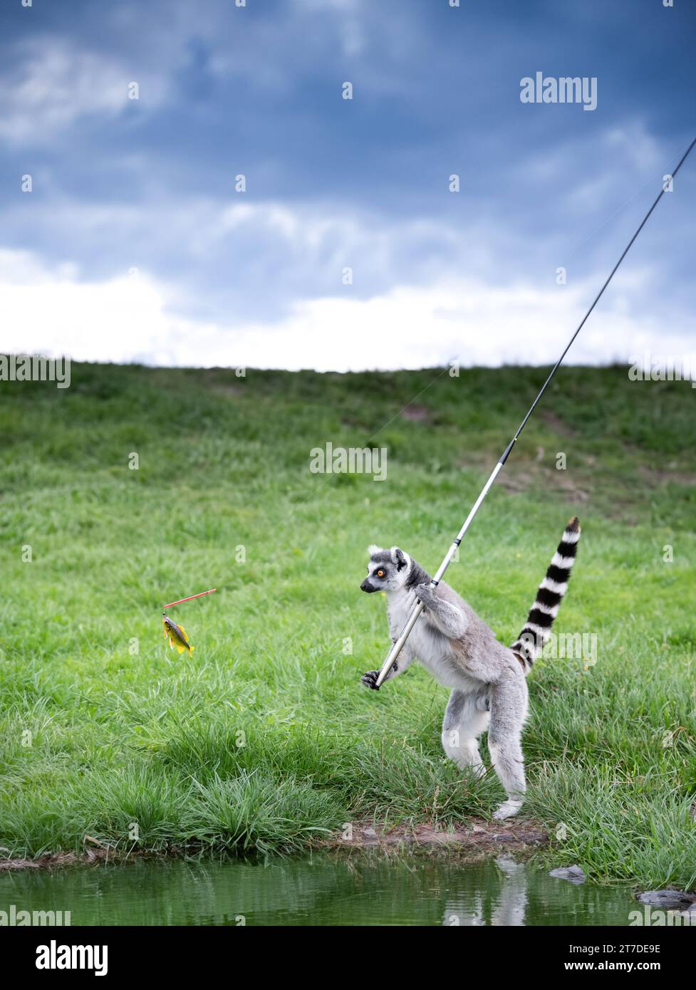 Madagascar sport fishing hi-res stock photography and images - Alamy