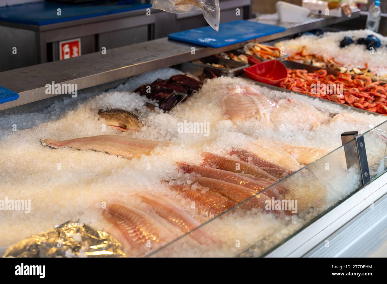 Alamy fisch hi-res stock photography and images - Alamy