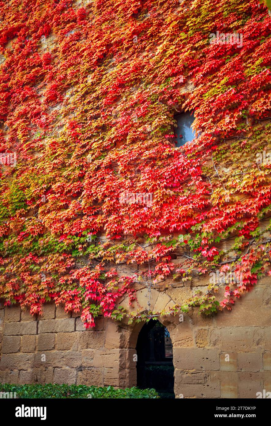 Facade of the Olite palace and castle in Navarra, Spain, covered in ...