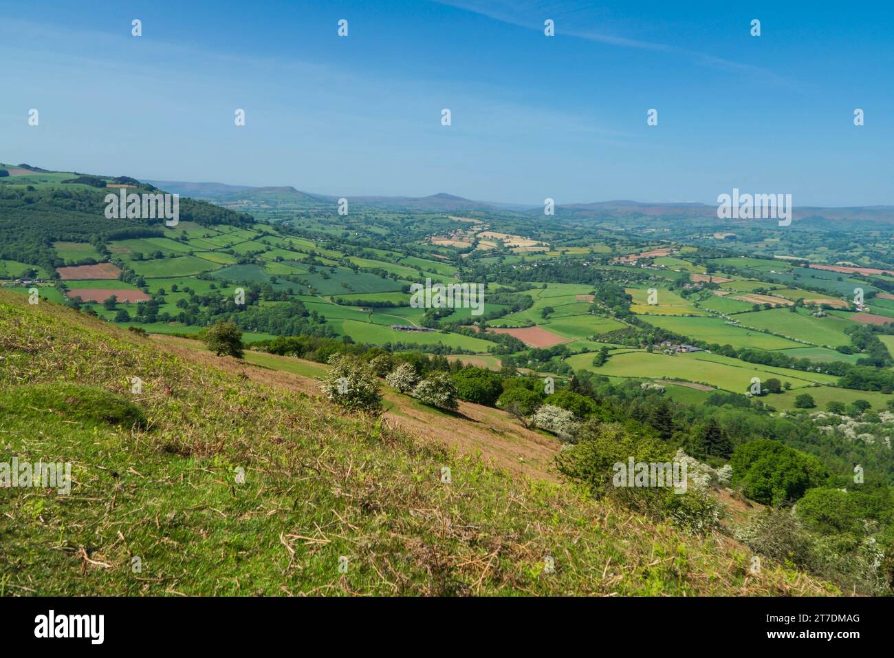 The beautiful view from Garway Hill with the Skirrid and Surgar Loaf in ...