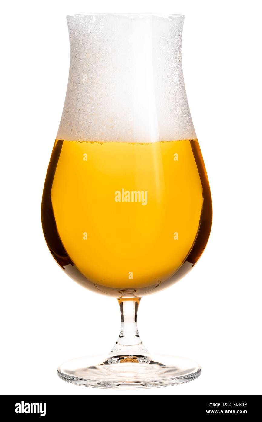 Full tulip-shaped stemmed glass of lager of pilsner beer isolated on a ...
