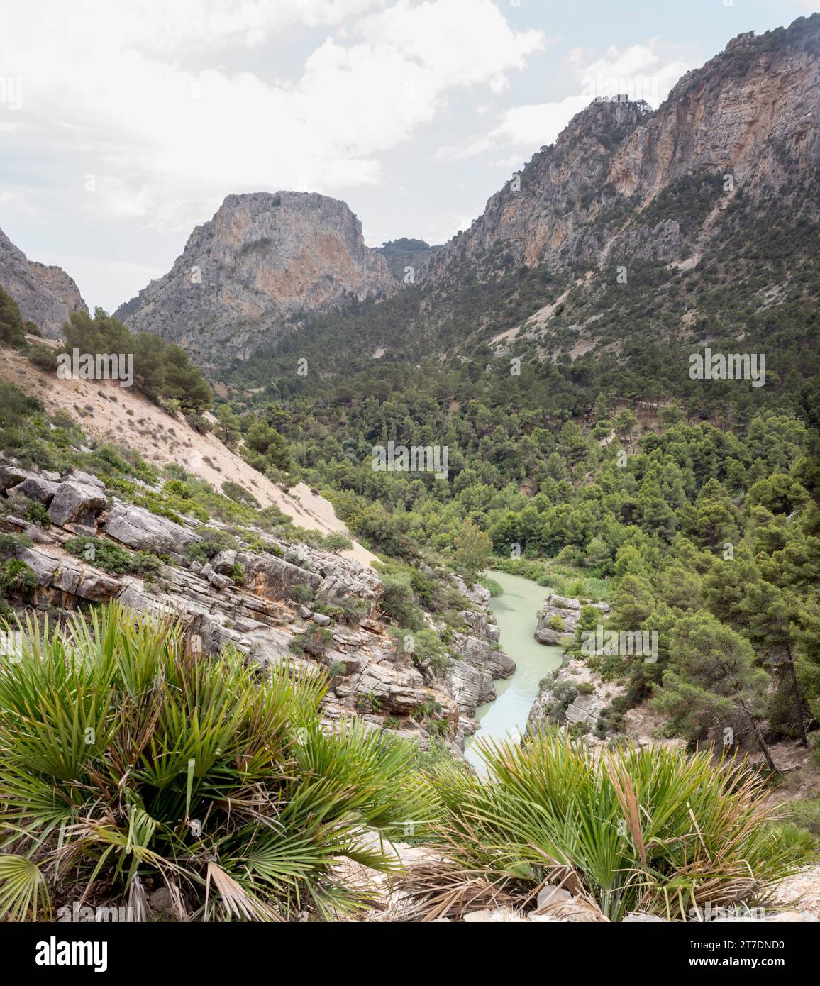 View of El chorro gorge from the Caminito del Rey walkway Stock Photo ...