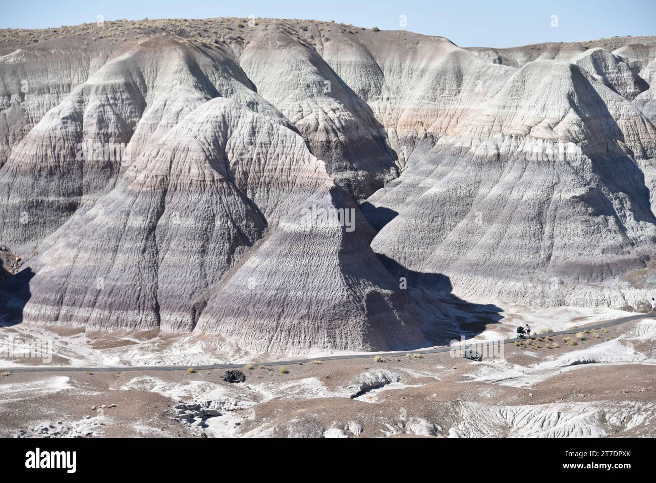 Painted Desert National Park, AZ USA 10/17/2023. Blue Mesa is a ...