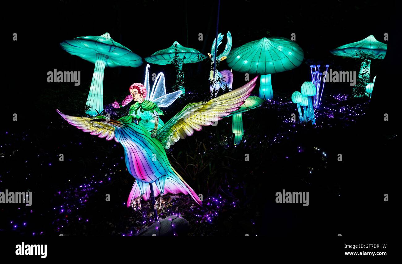 The Wild Lights silk lantern exhibition at Dublin Zoo. This years theme ...