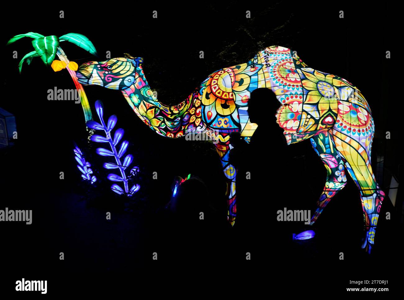 The Wild Lights silk lantern exhibition at Dublin Zoo. This years theme ...