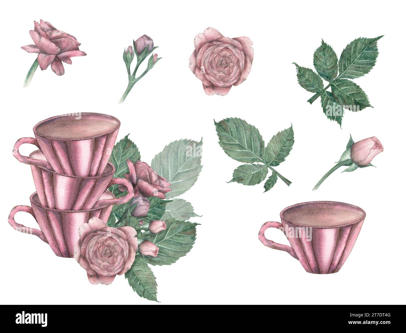 Watercolor set of porcelain pink cups and pink roses with greenery in ...