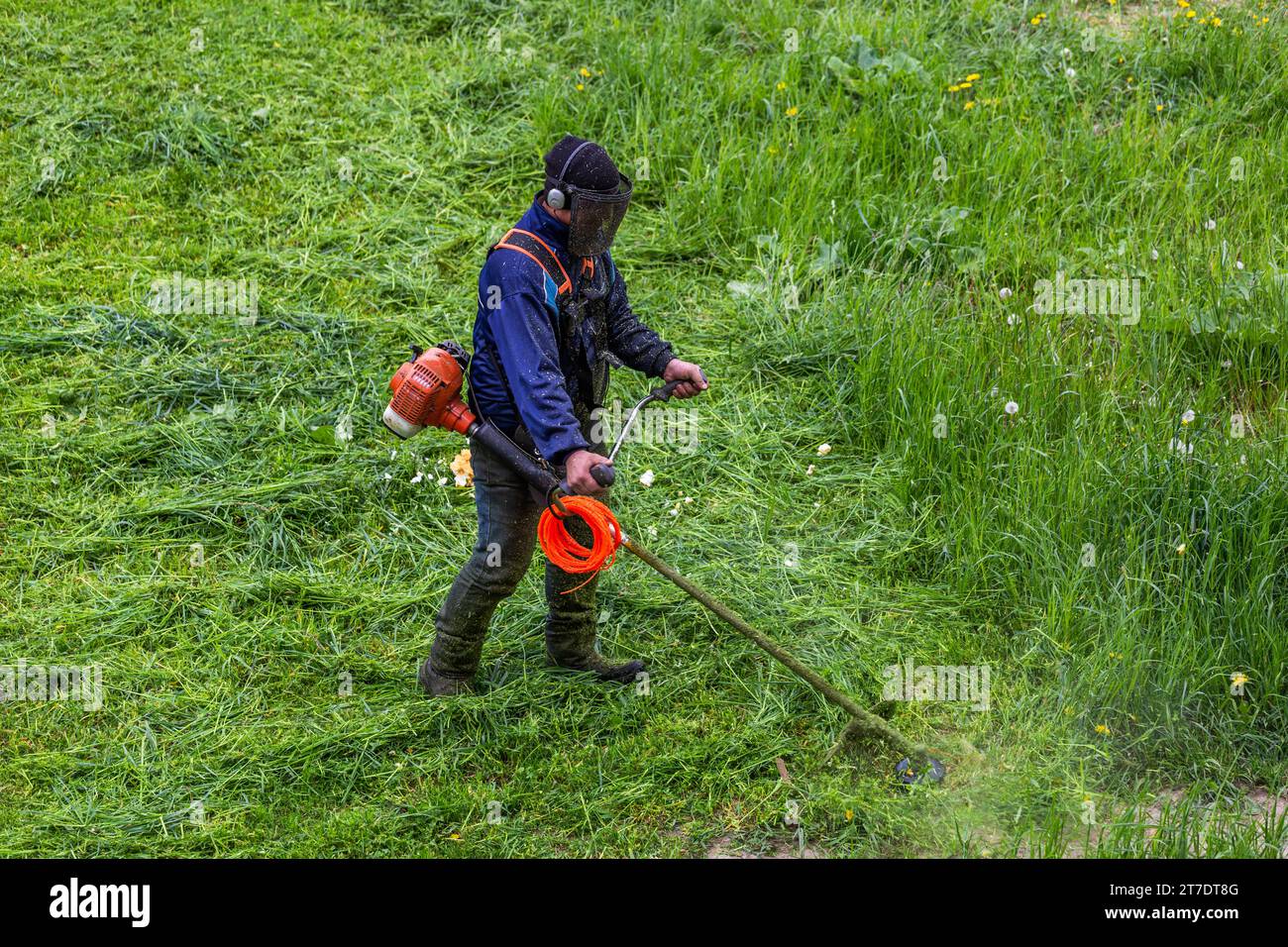 lawnmower man with string trimmer trimming grass at sunny day Stock ...