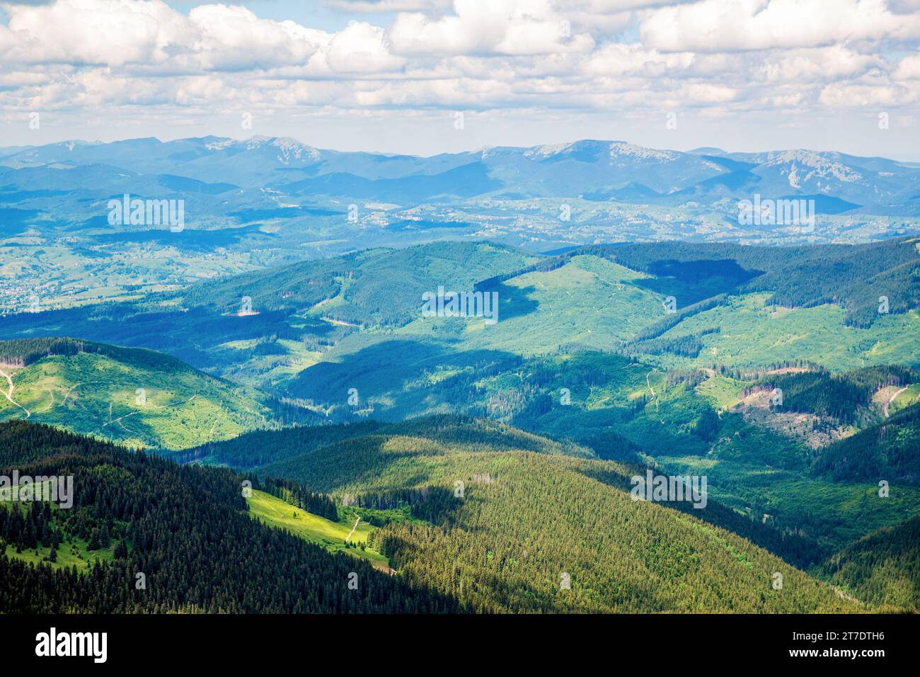 Mountains ridge high rocky peaks. Mountain landscape. Coniferous forest ...