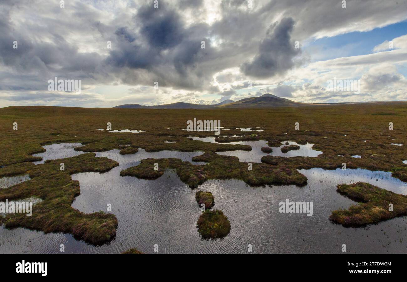 FORSINARD, SUTHERLAND, SCOTLAND, UK - 09 September 2023 - Flow Country ...