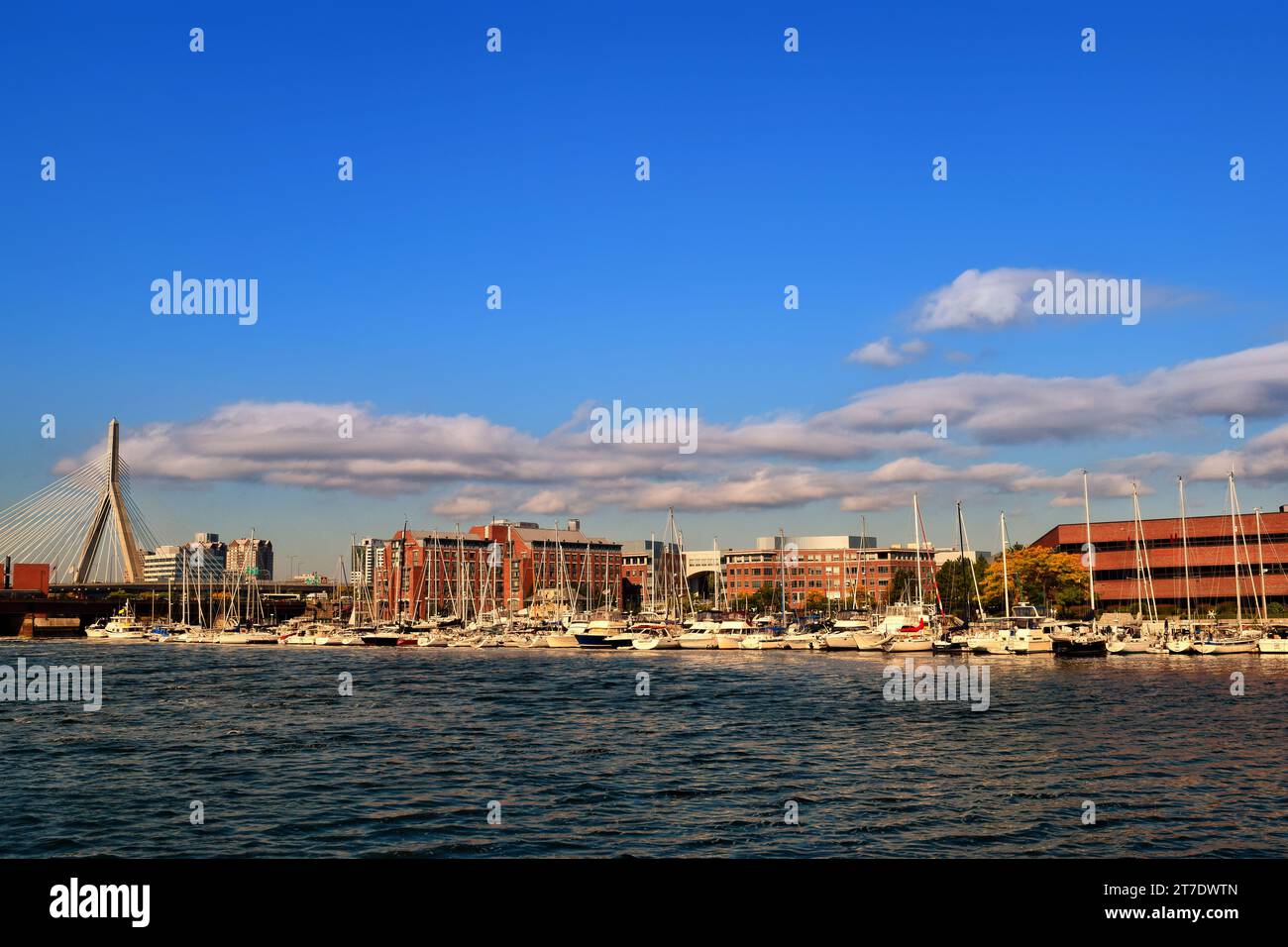 Bathed in sunlight beneath hi-res stock photography and images - Alamy