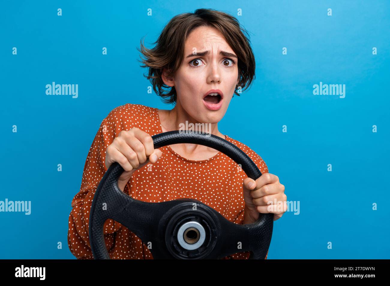 Photo portrait of attractive young woman terrified reaction steering ...