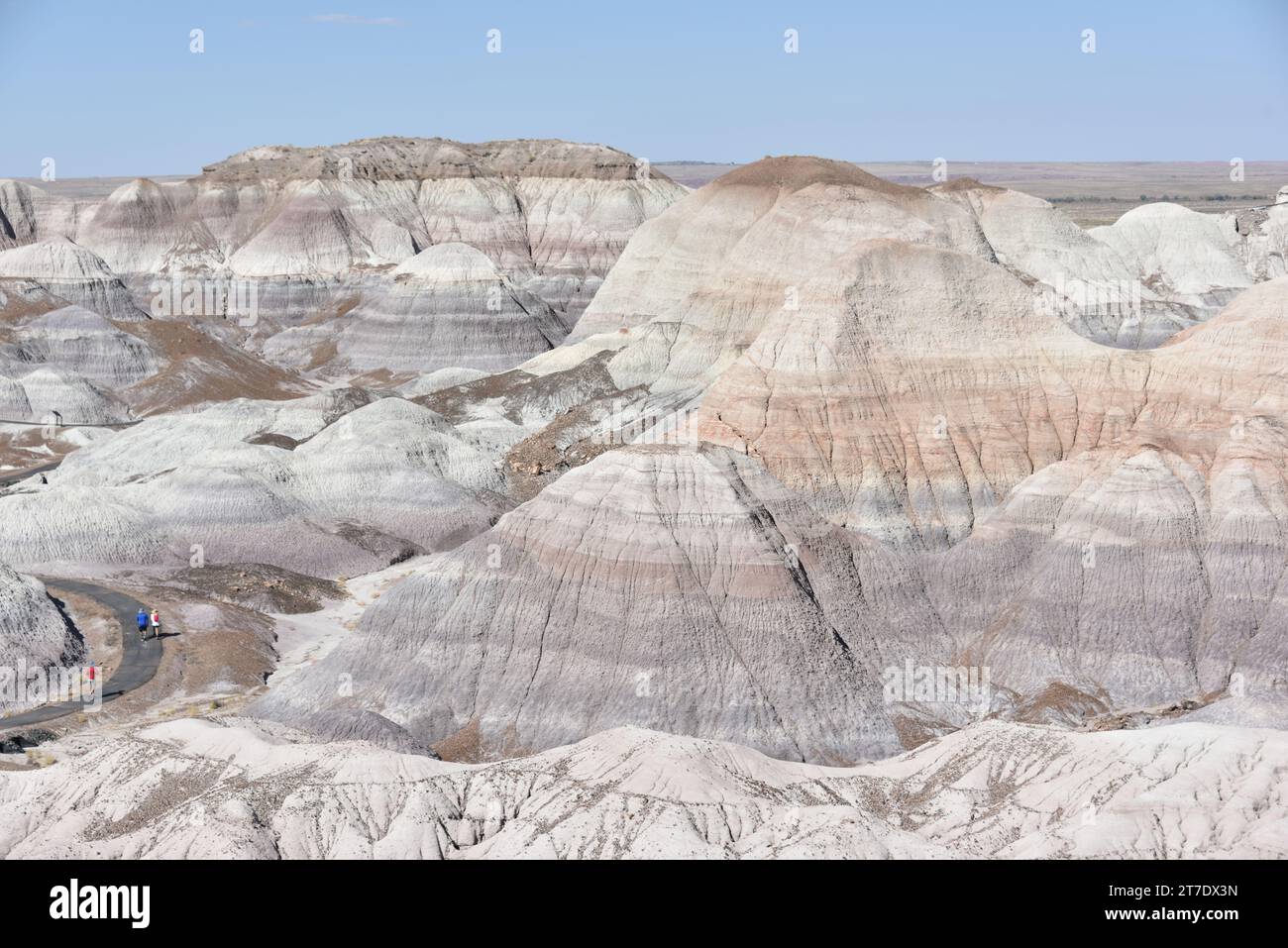 Painted Desert National Park, AZ USA 10/17/2023. Blue Mesa is a ...