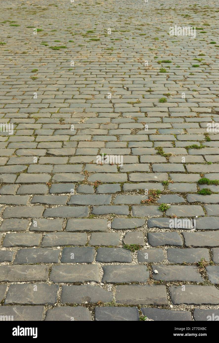 Photo of the site of a long and old worn paving slab Stock Photo - Alamy