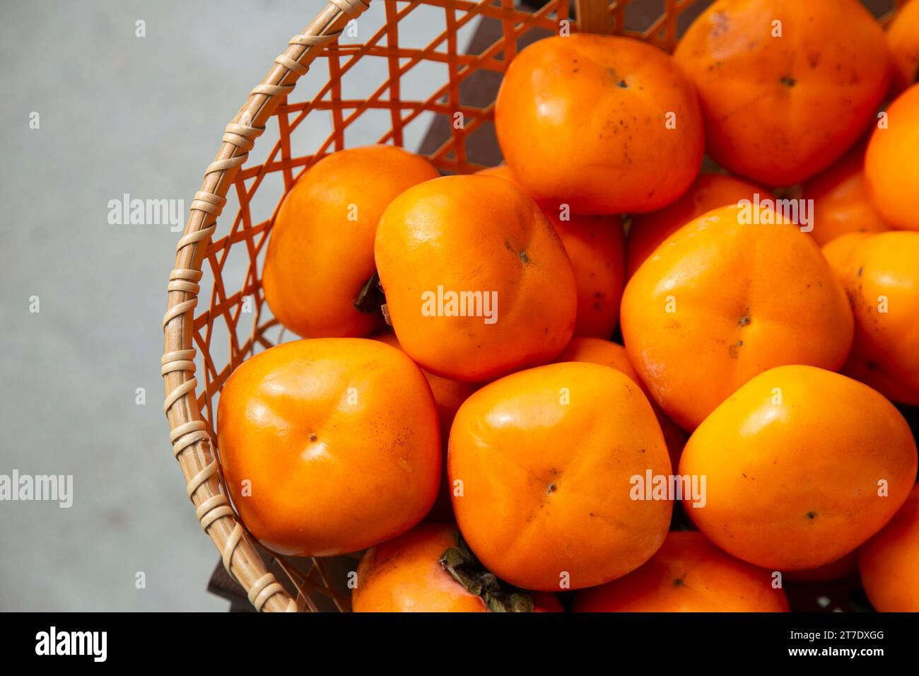 Japanese persimmon treen and fruit in the fall month at harvest time on ...