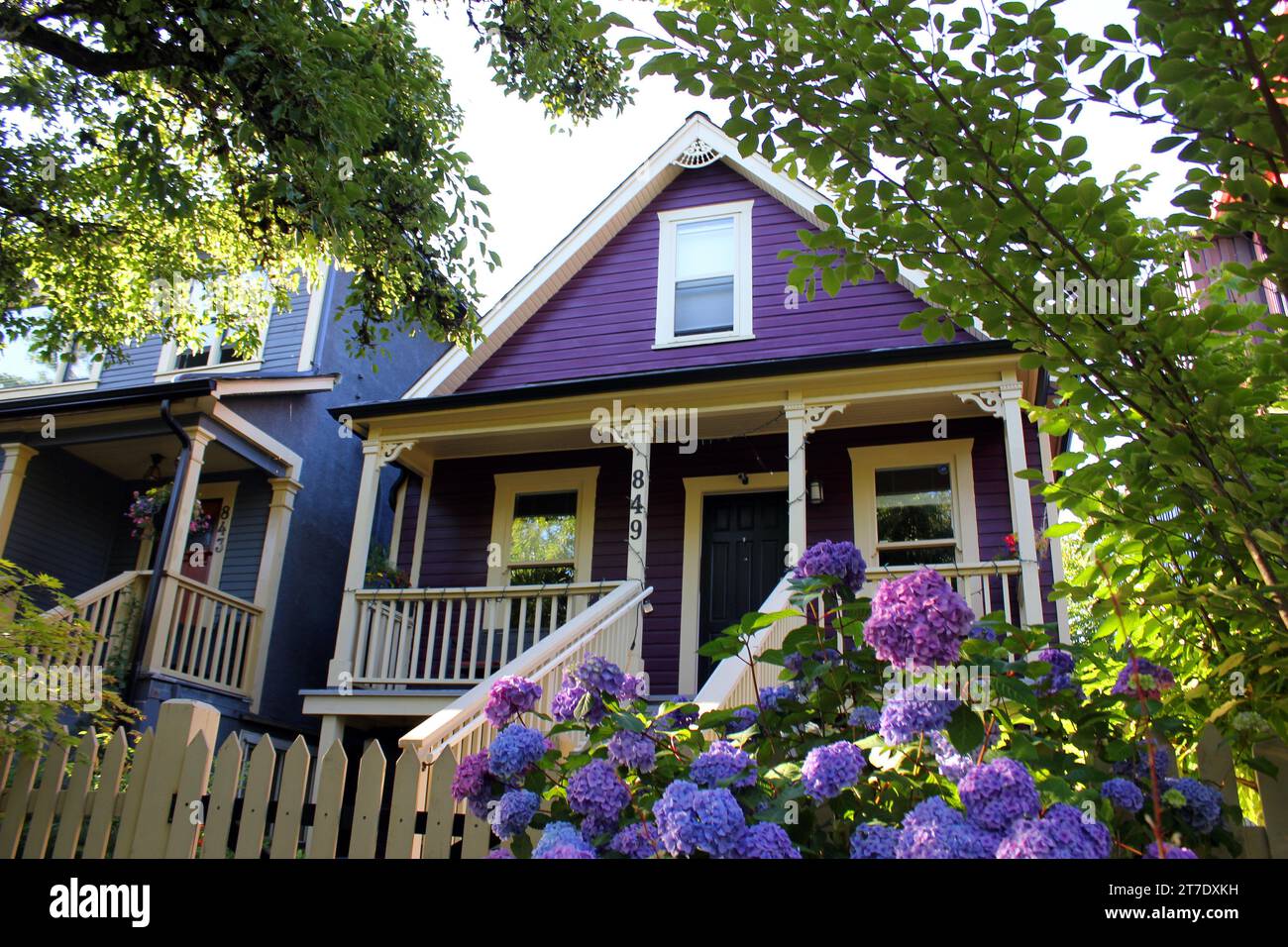 A lavender-colored house is situated among blooming shrubs and wooden ...