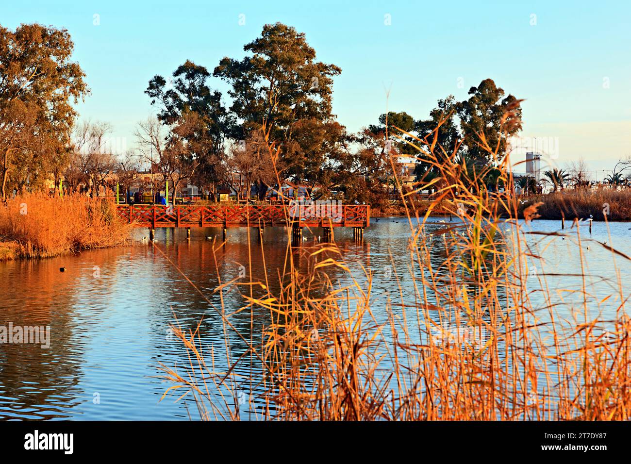 Early sunset glow on the Wildlife Pond at Nules Platja, Castellon ...