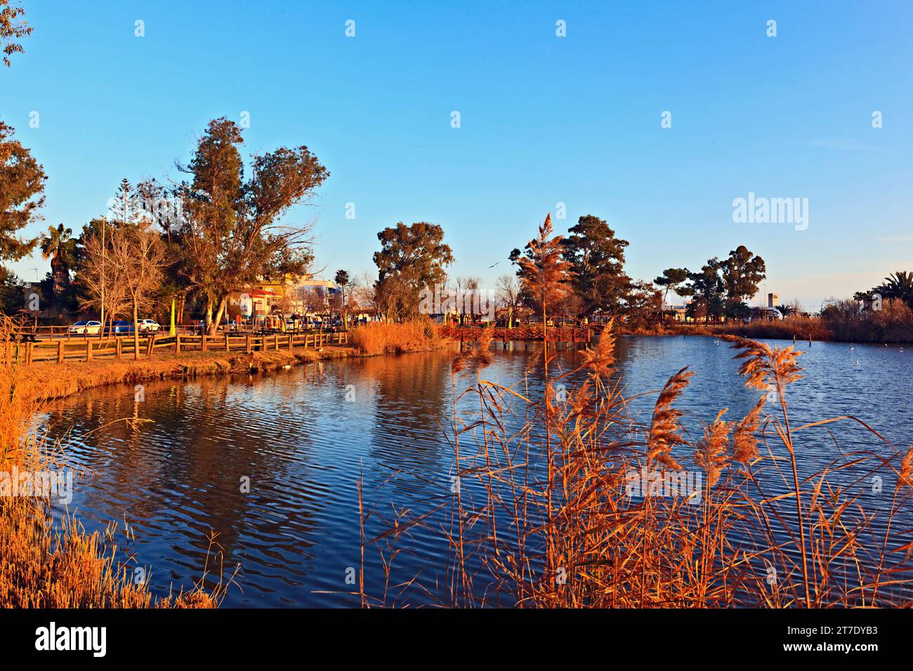 Early sunset glow on the Wildlife Pond at Nules Platja, Castellon ...