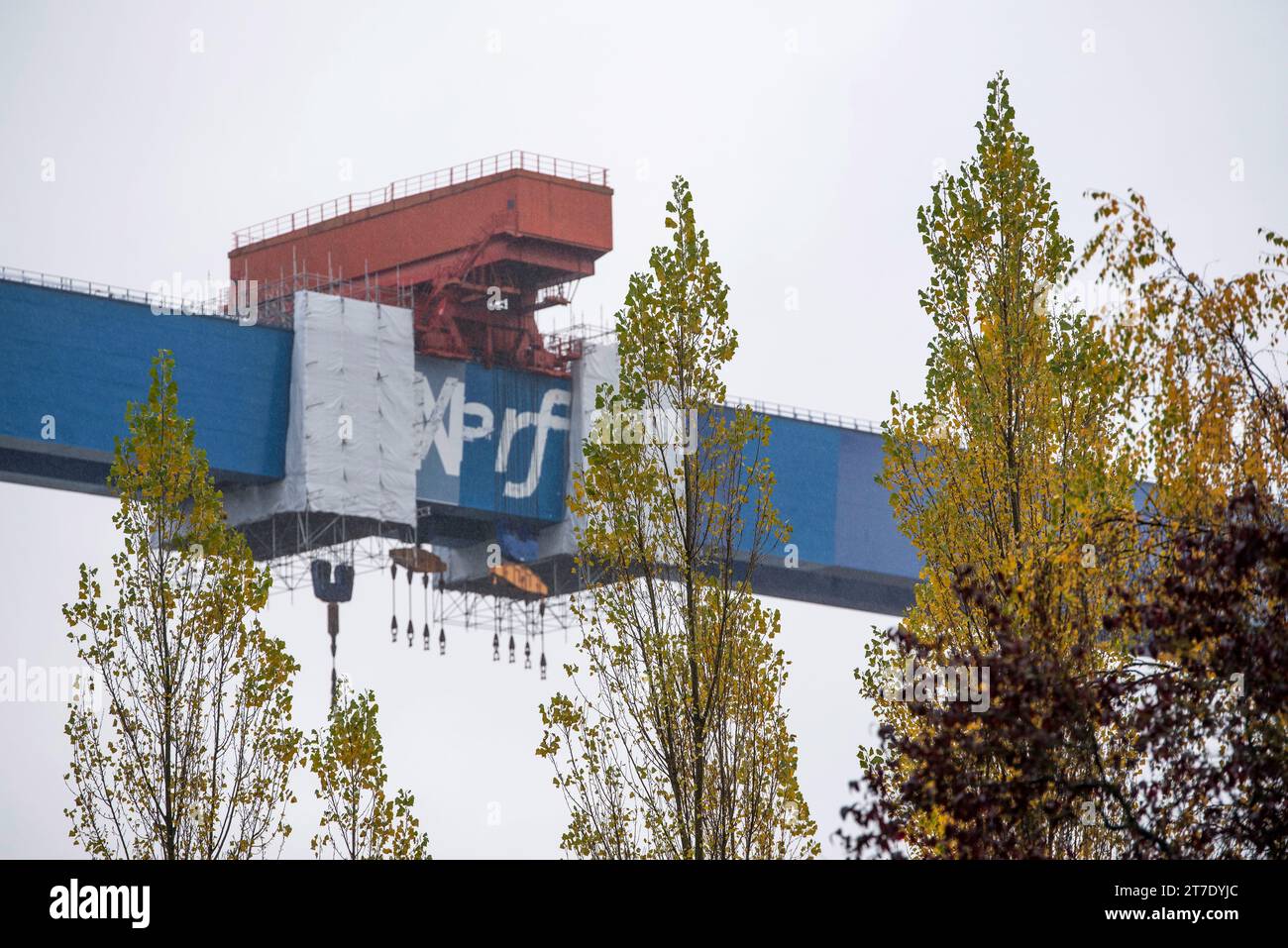 Rostock, Germany. 15th Nov, 2023. View of the gantry crane from the ...