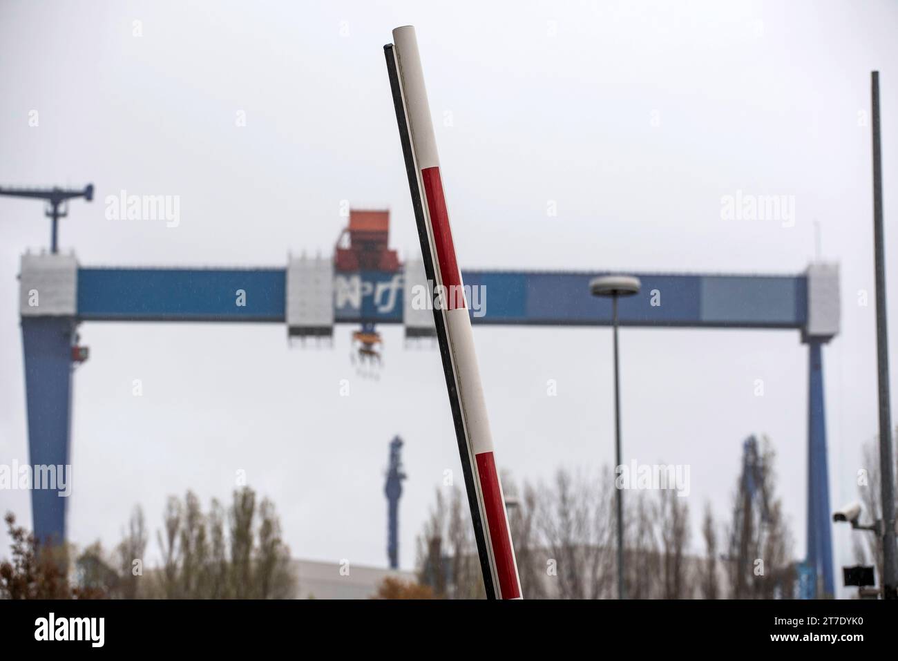 Rostock, Germany. 15th Nov, 2023. View of the gantry crane from the ...