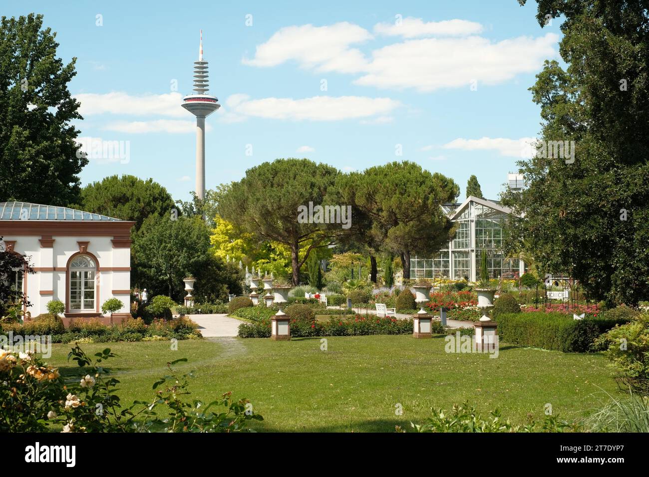 An outdoor landscape of lush green grass and shrubbery with an urban ...