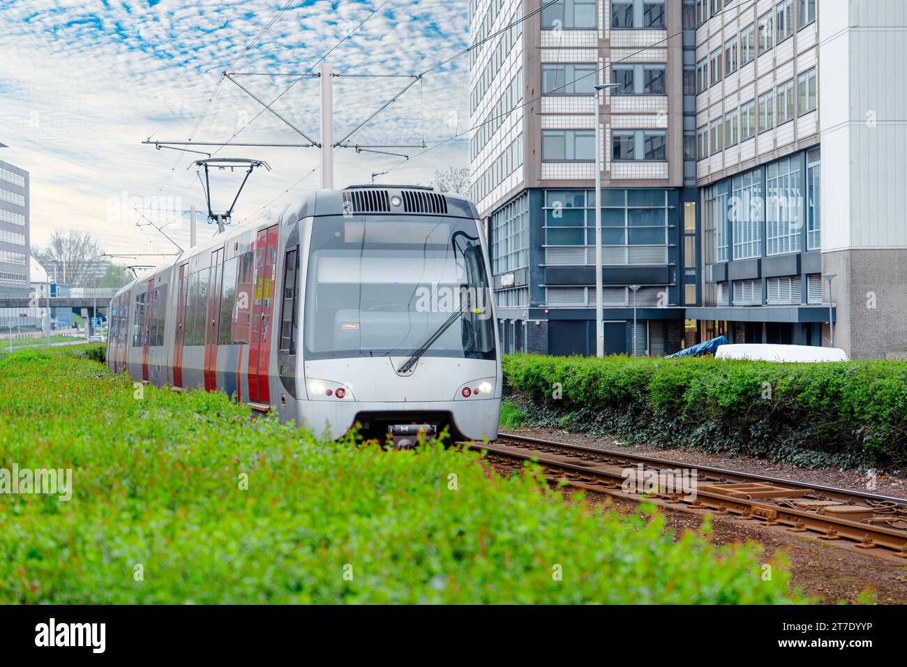 Rotterdam's Electrified Urban Transport: Public Trams Network Stock ...