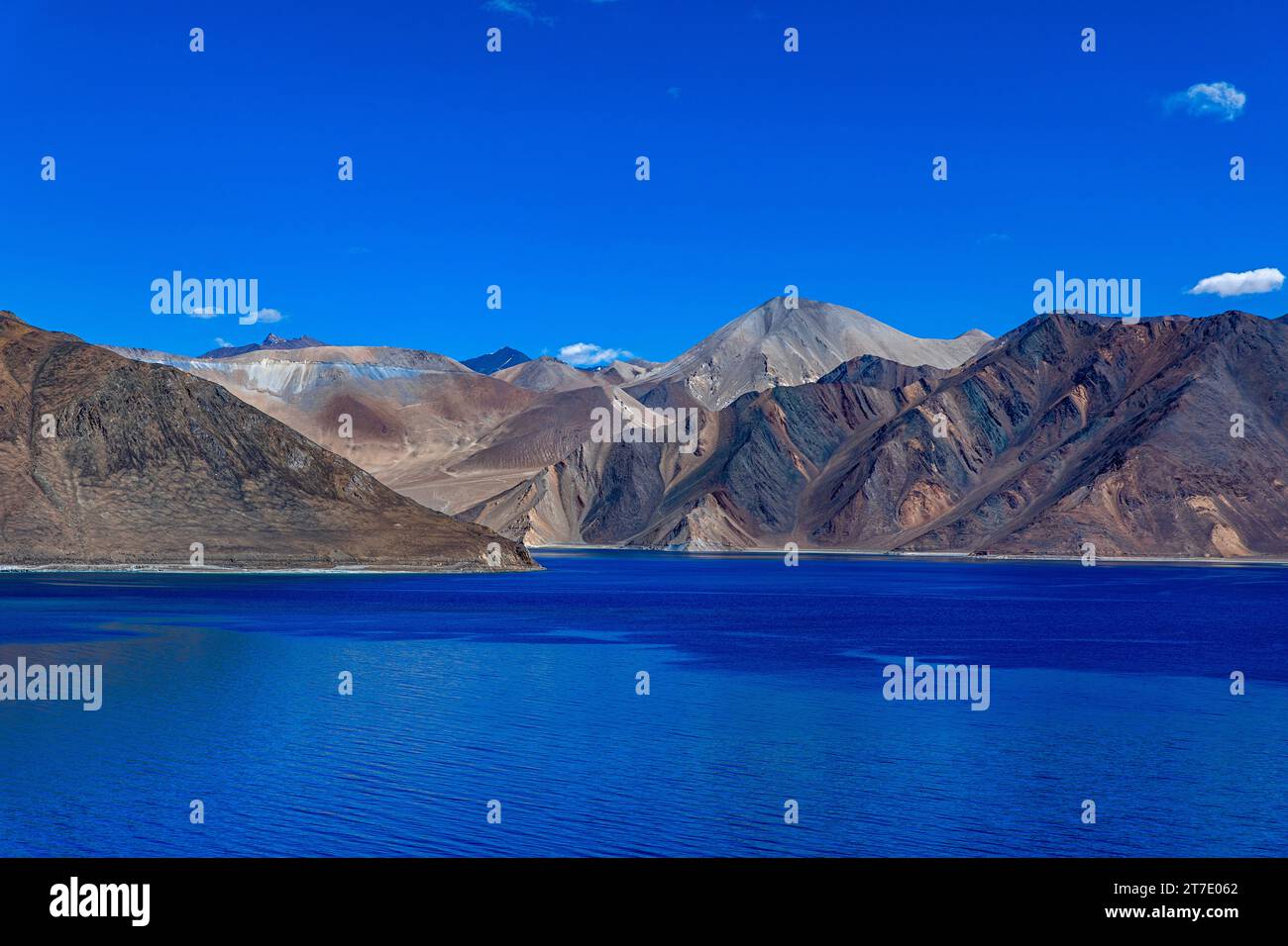 Pagong hi-res stock photography and images - Alamy