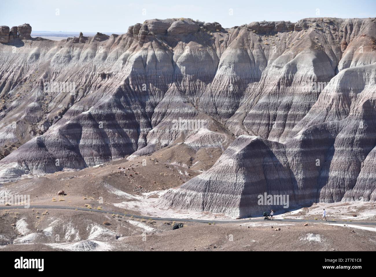 Painted Desert National Park, AZ USA 10/17/2023. Blue Mesa is a ...