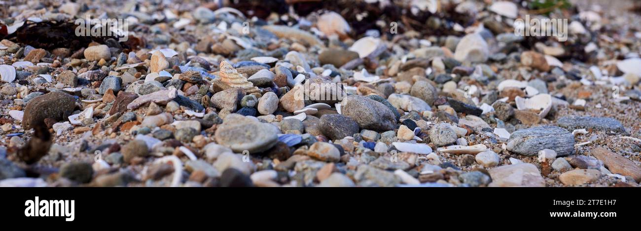 A selection of different types of stone and broken sea shells on the ...
